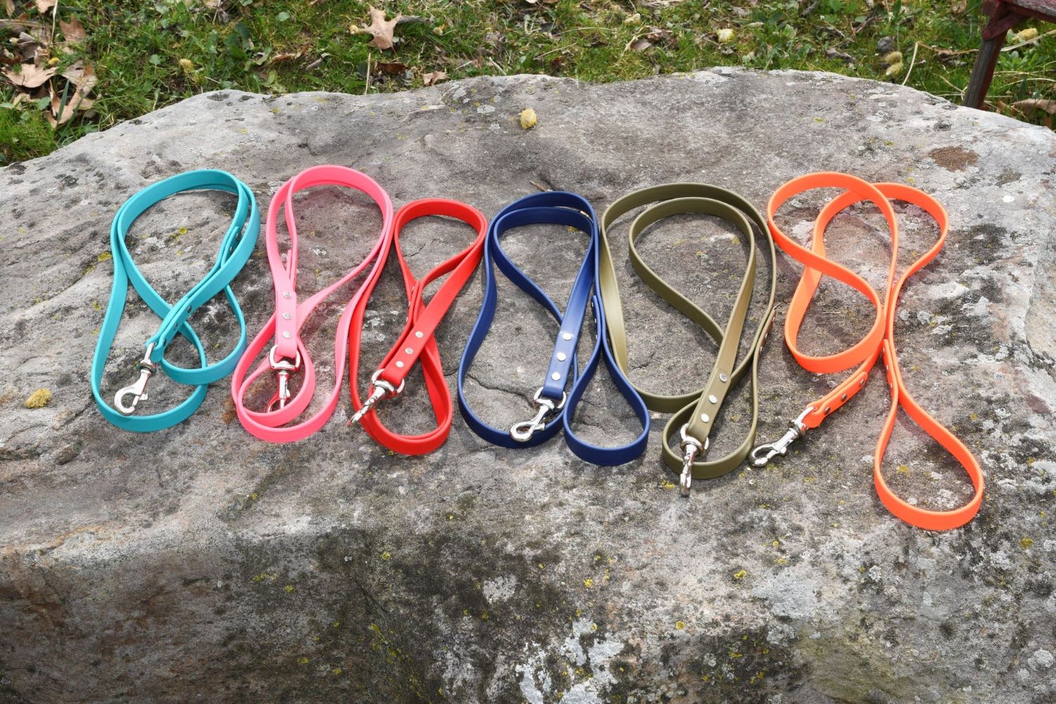 The Environmental Benefits of Choosing Biothane Dog Leashes – Ace Dog ...